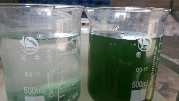 Pulver-kationische wasserlösliche Polymere PAM Cleanwater CPAM/Kation ...